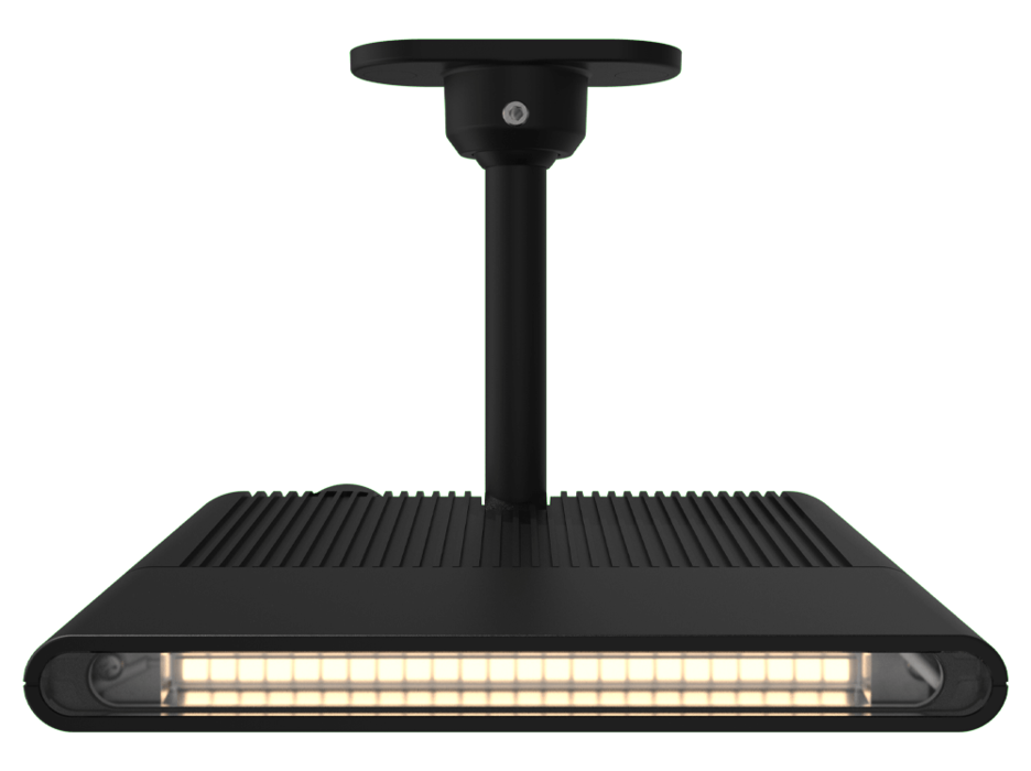 Hornet LED Floodlight - Pierlite