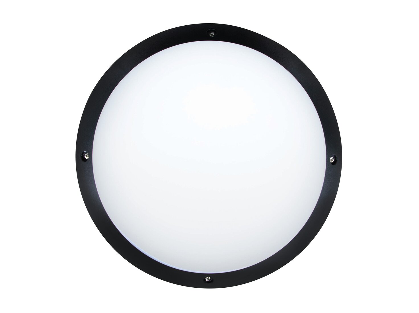 Sirroco II LED Bulkhead - Pierlite